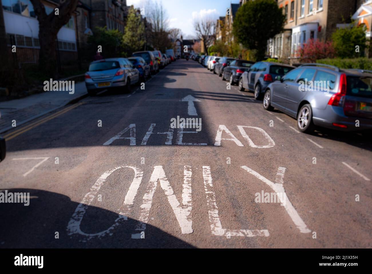 Ahead Only with arrow sign on residential street of houses and cars ...