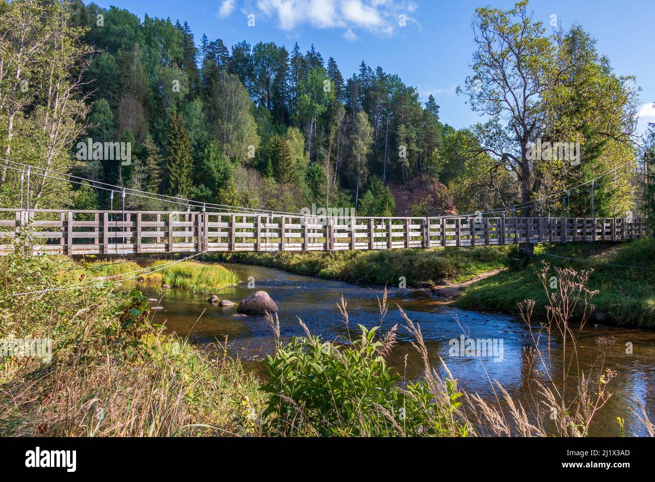 Suspension bridge above the river Amata in the Gauja National Park ...