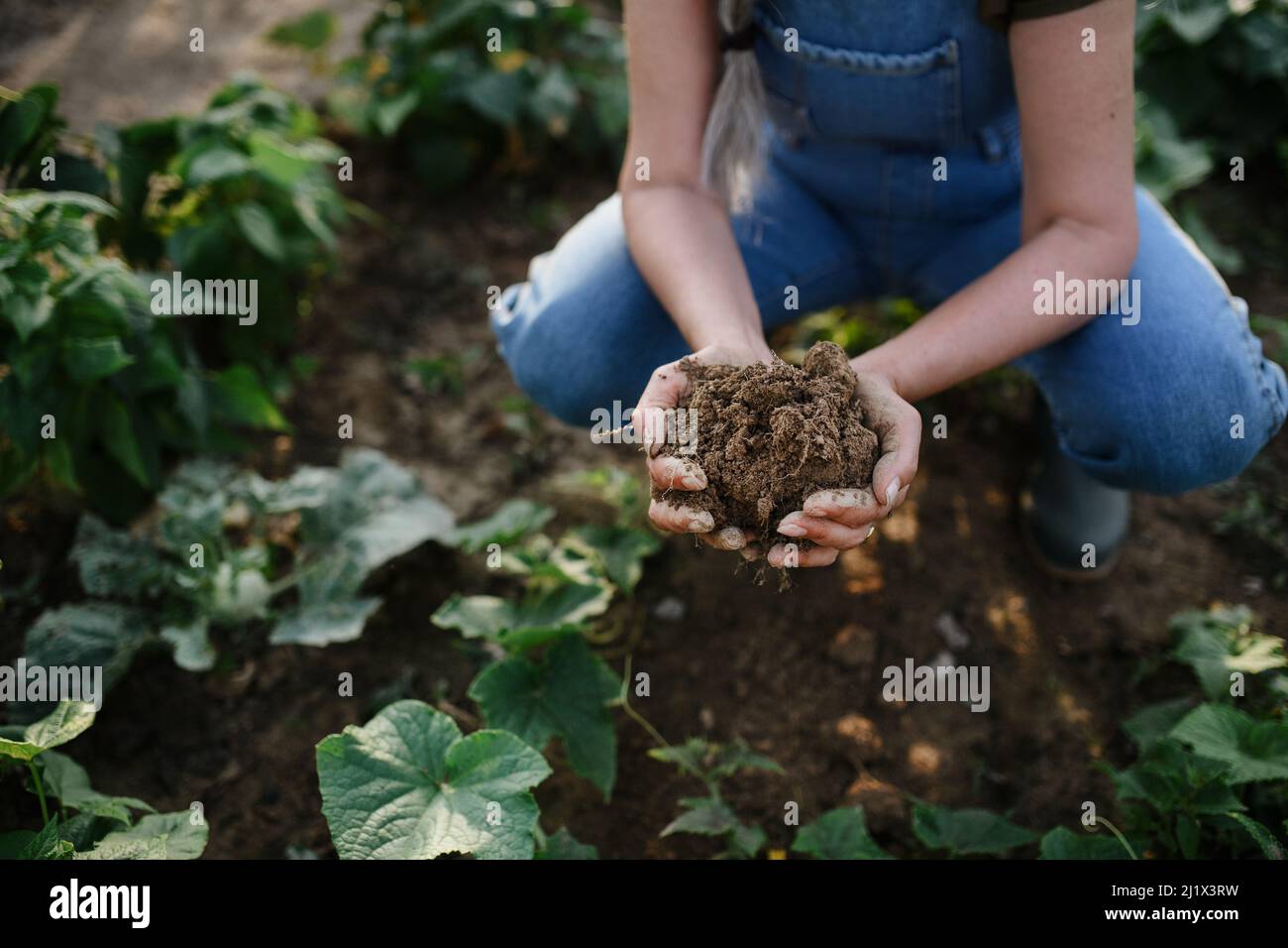 Hands holding soil hi-res stock photography and images - Alamy
