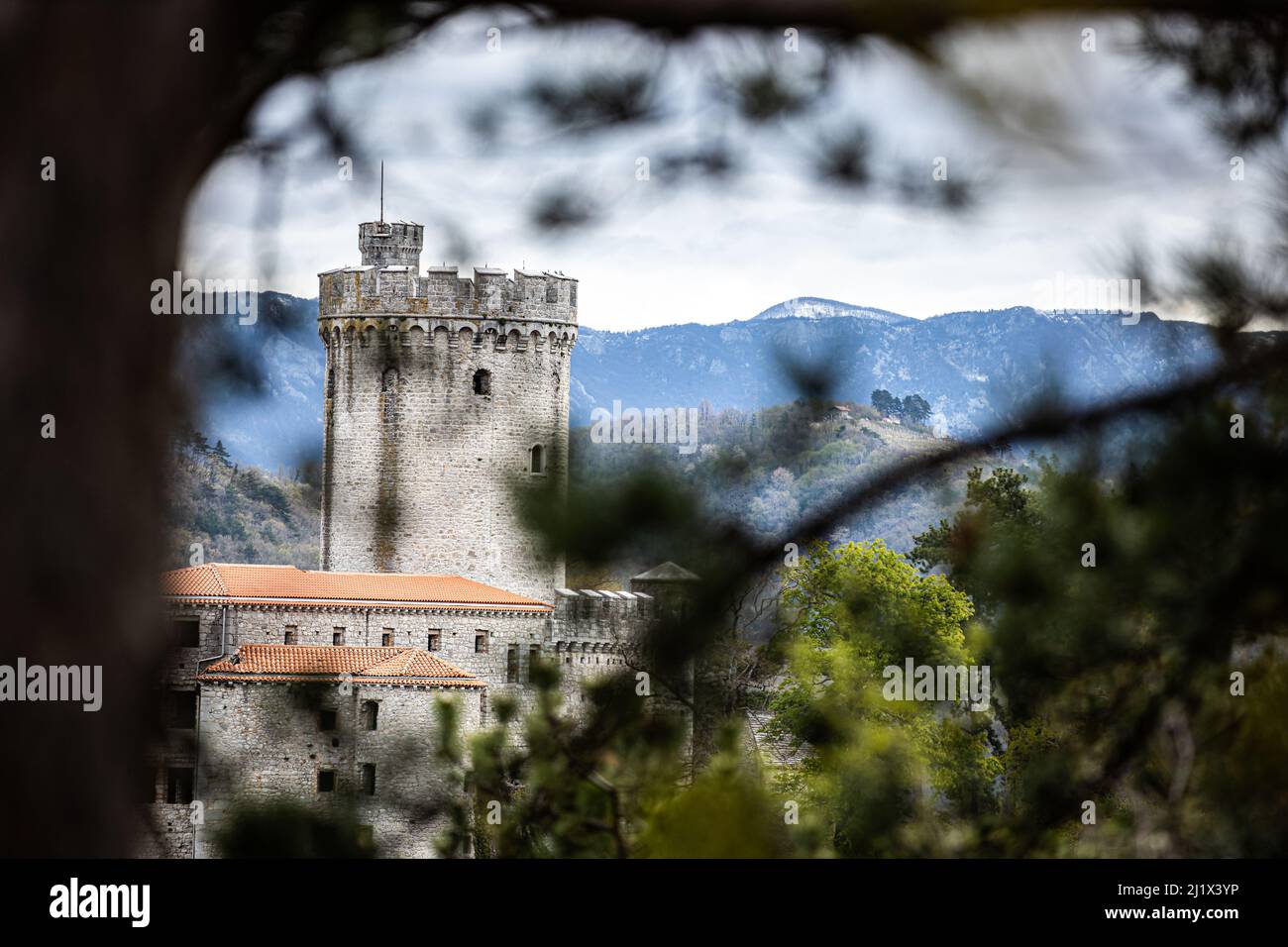 A view of Rihemberk castle through the tree branches on the background ...