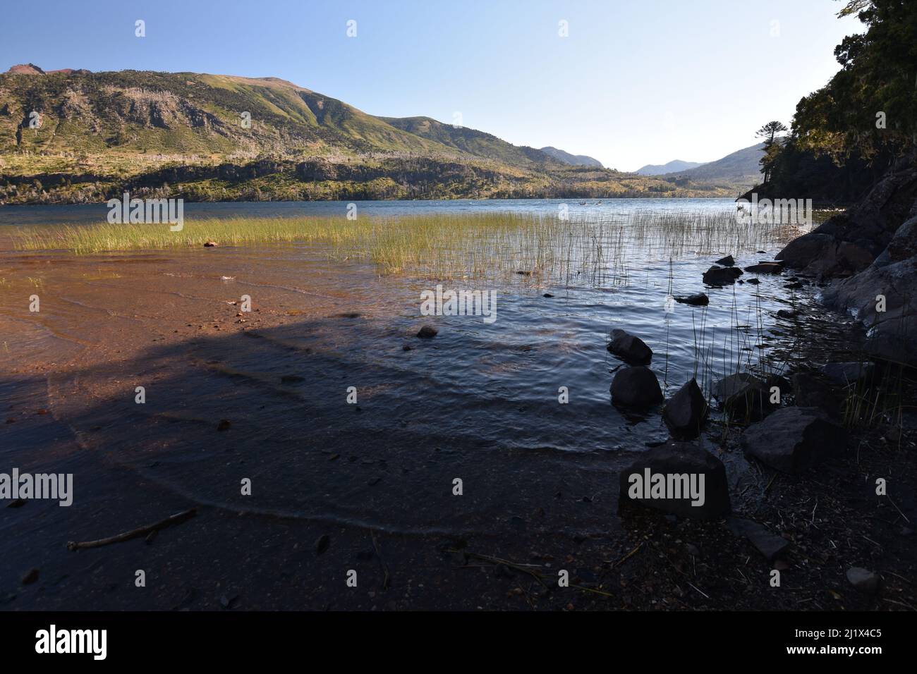 A view of muddy beach in background of greenery mountains in Villa ...