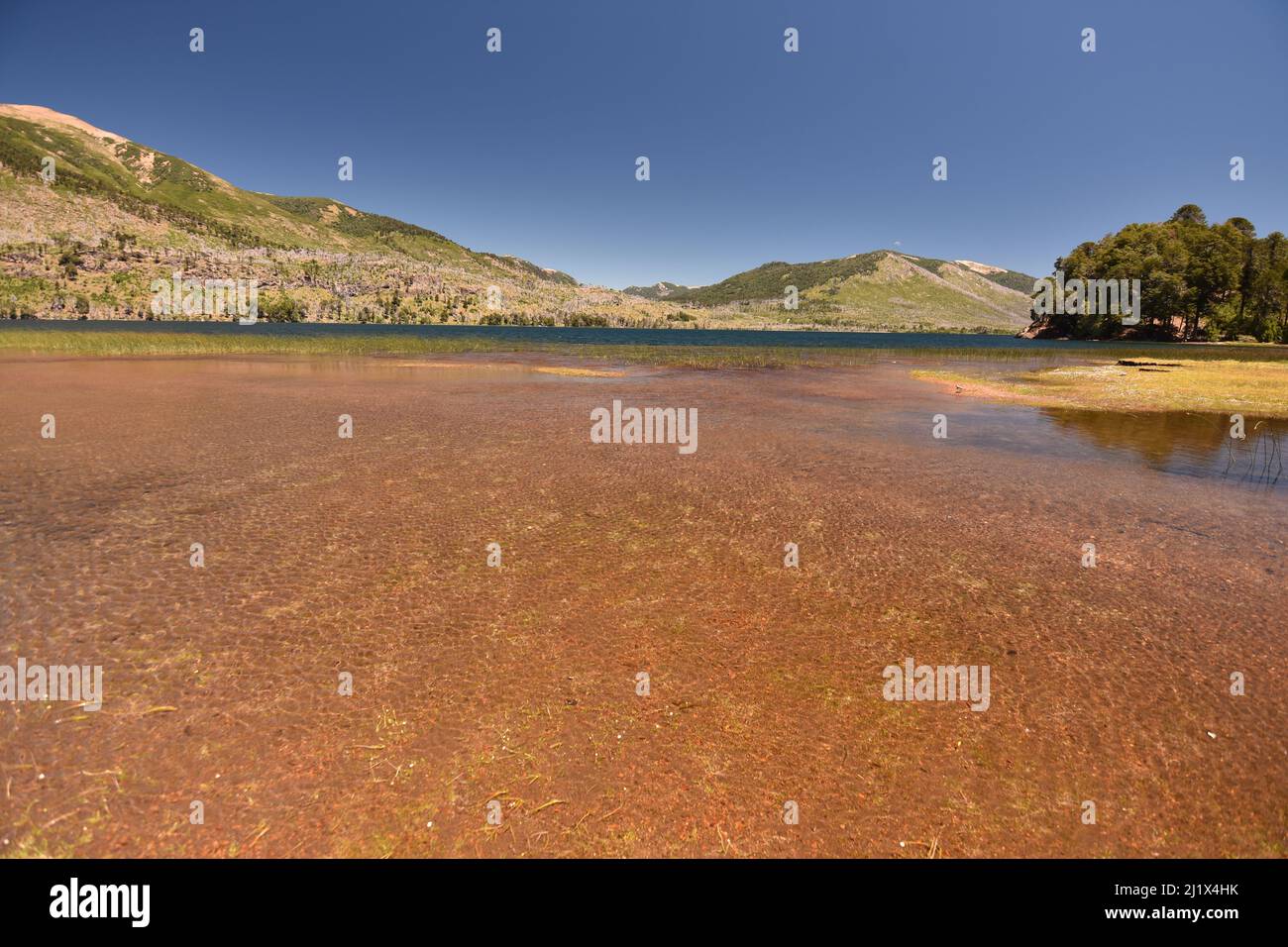 Alumine argentina High Resolution Stock Photography and Images - Alamy