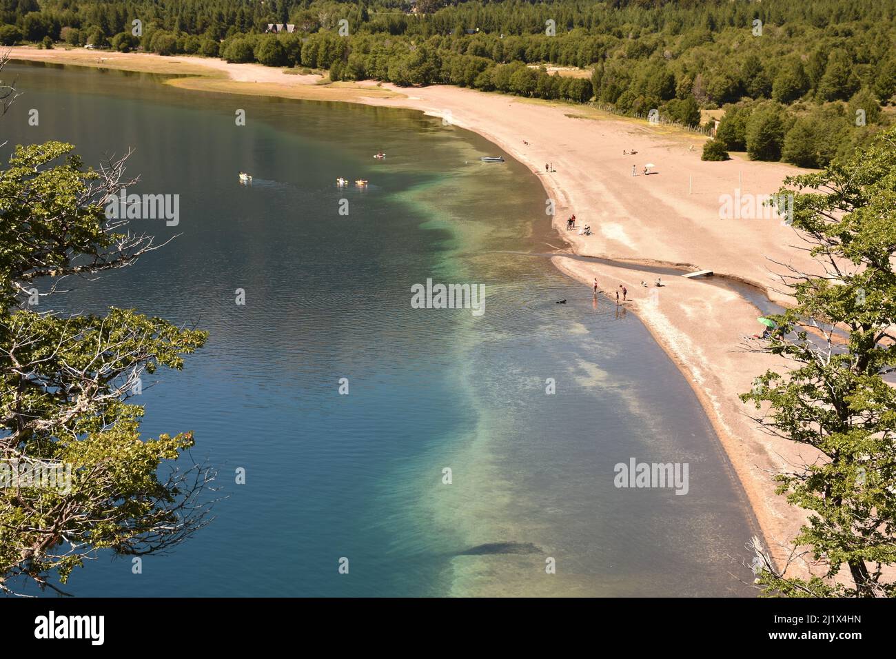 A view of Moquehue lake beach in background of dense forest Stock Photo ...