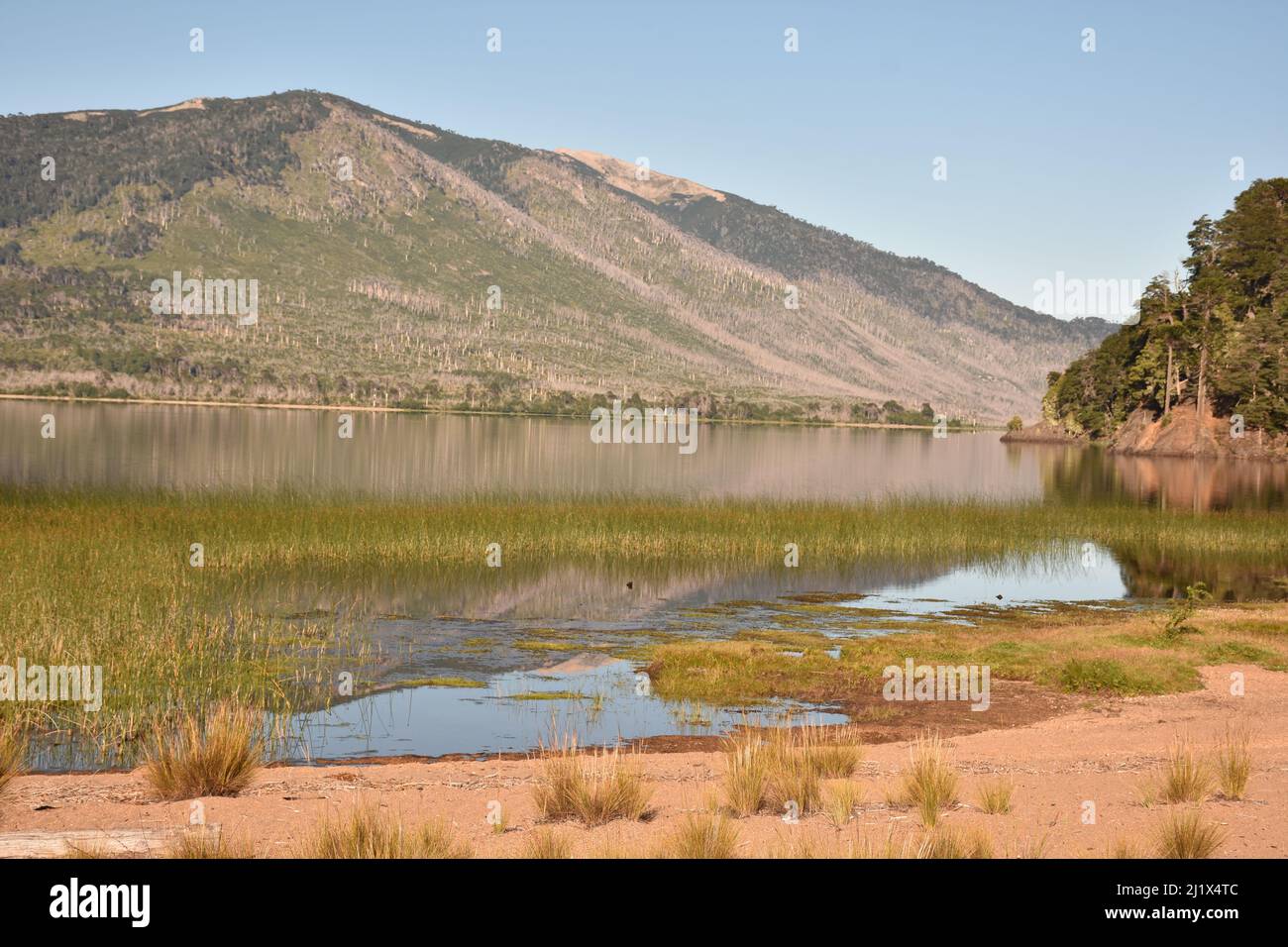 A view of Norquinco lake muddy beach surrounded by greenery fields and ...