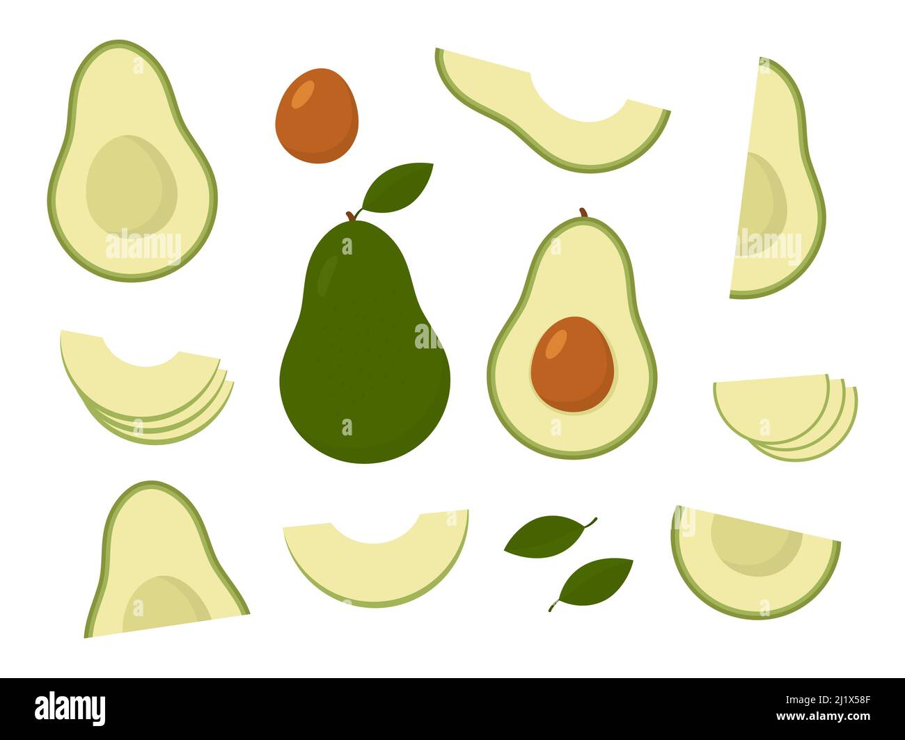 Avocado fruit set. Healthy food symbol. Whole and half avocado. Vector ...