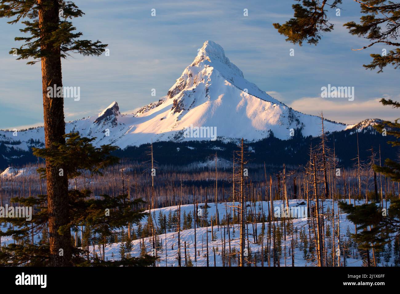 Mount Washington from Mt. Washington Viewpoint, Deschutes National ...