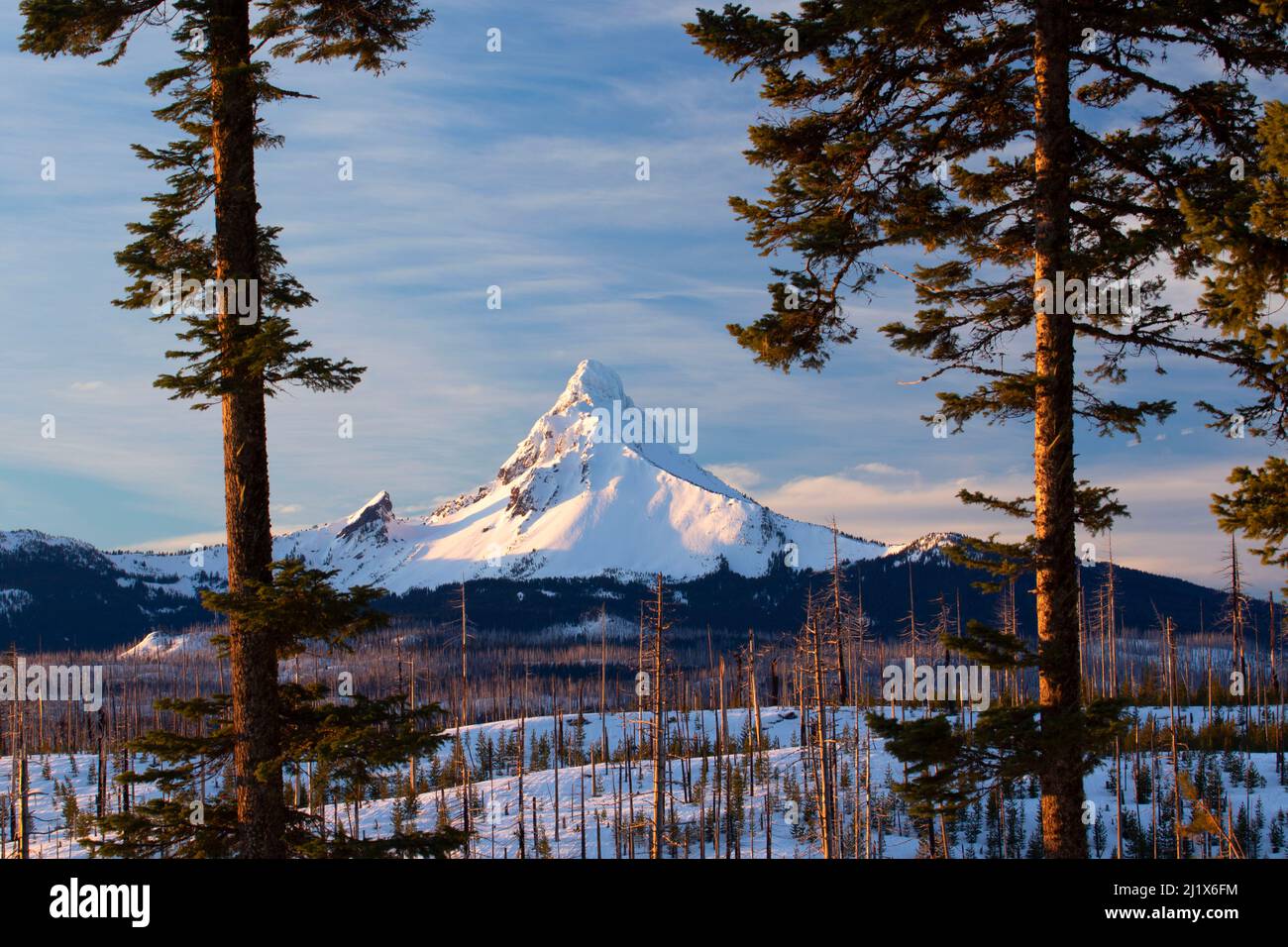 Mount Washington from Mt. Washington Viewpoint, Deschutes National ...