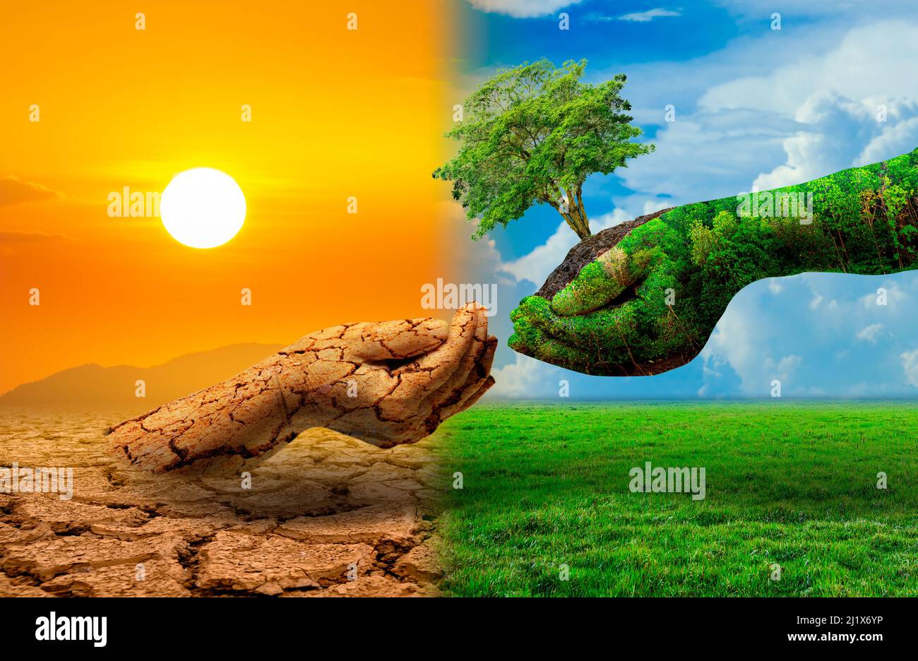 tree in two hands with very different environments Earth Day or World ...