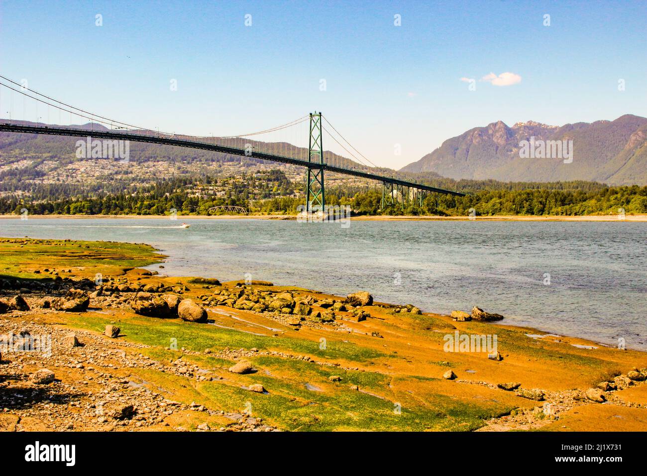 Lions Gate Bridge taken from Prospect Point Lookout on a sunny day ...