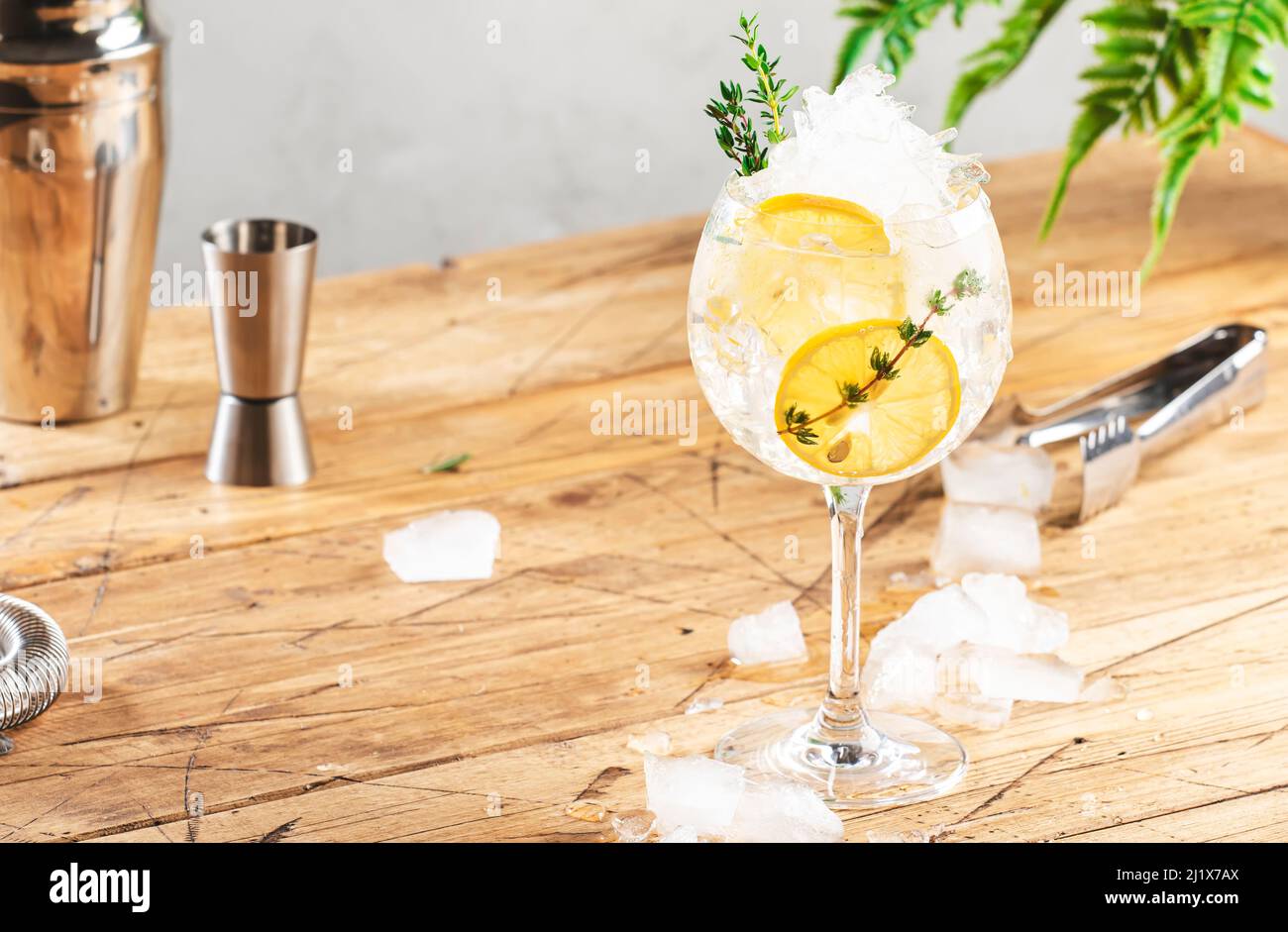Gin tonic alcoholic cocktail drink with dry gin, bitter tonic, lemon ...