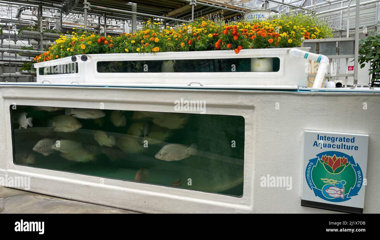 orlando, FL USA- April 27, 2021: The interior to the Land Pavillion at ...