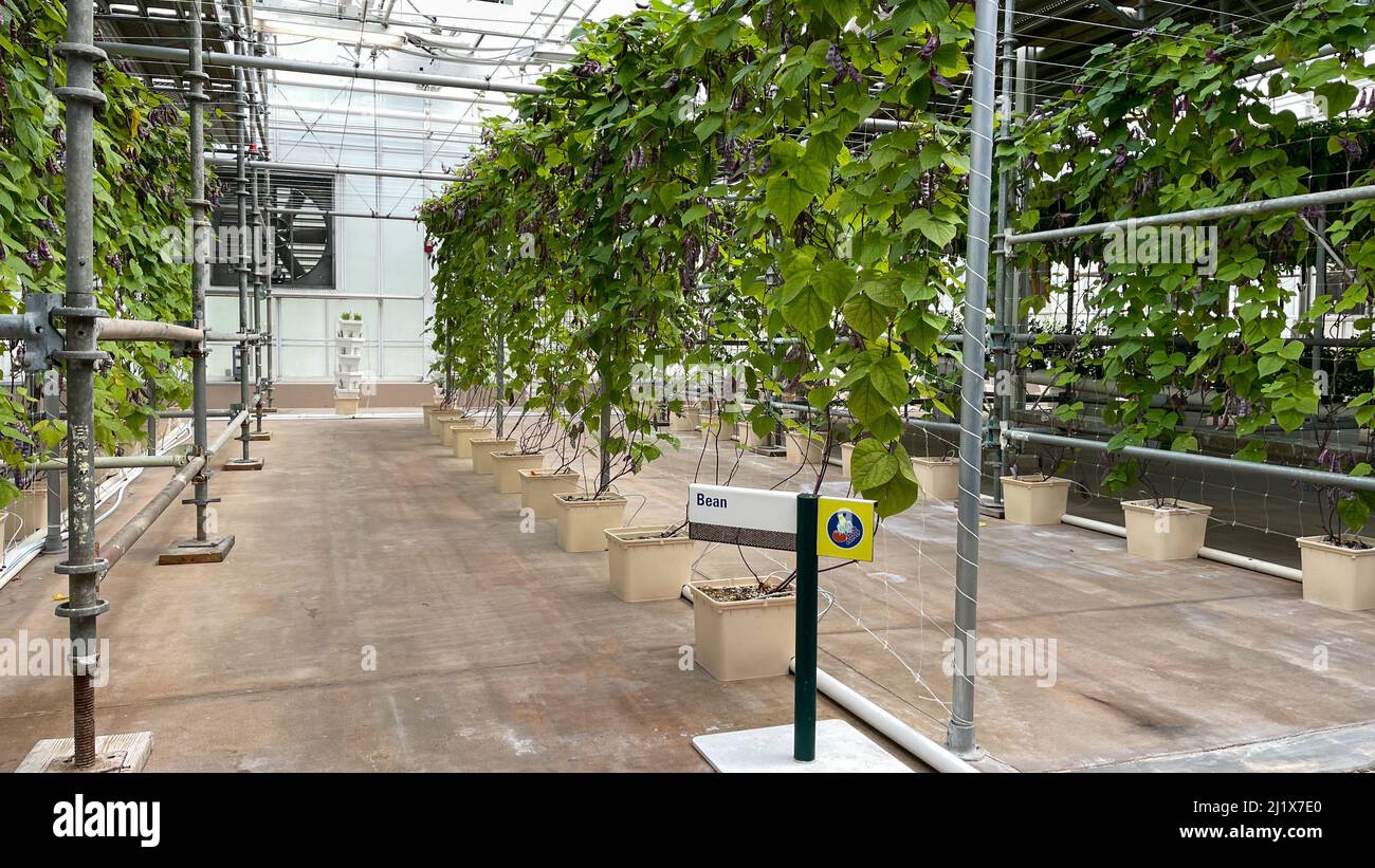 orlando, FL USA- April 27, 2021: The interior to the Land Pavillion at ...