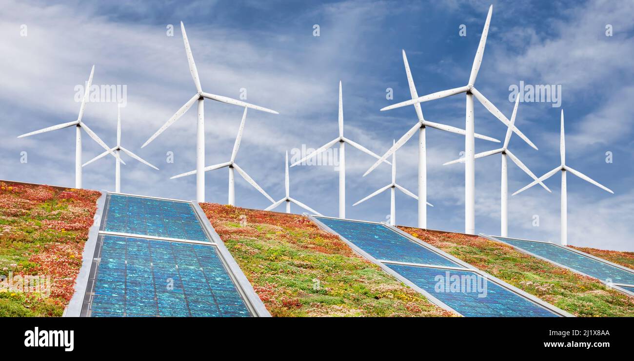 Green sedum roof with solar panels in front of a windpark with wind ...
