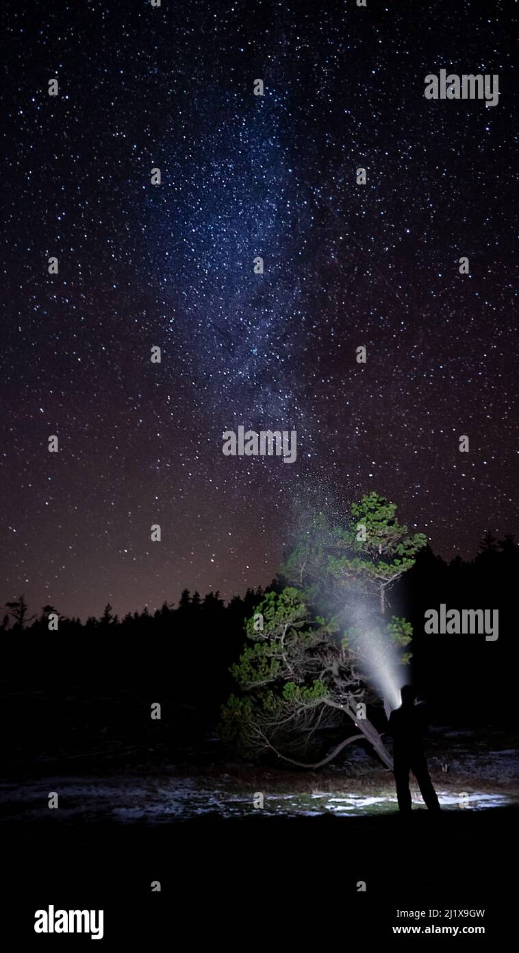 stars with man holding flashlight at tree Stock Photo - Alamy
