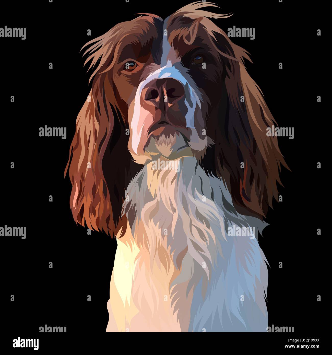A vertical illustrative painting of a Welsh Springer Spaniel Stock ...