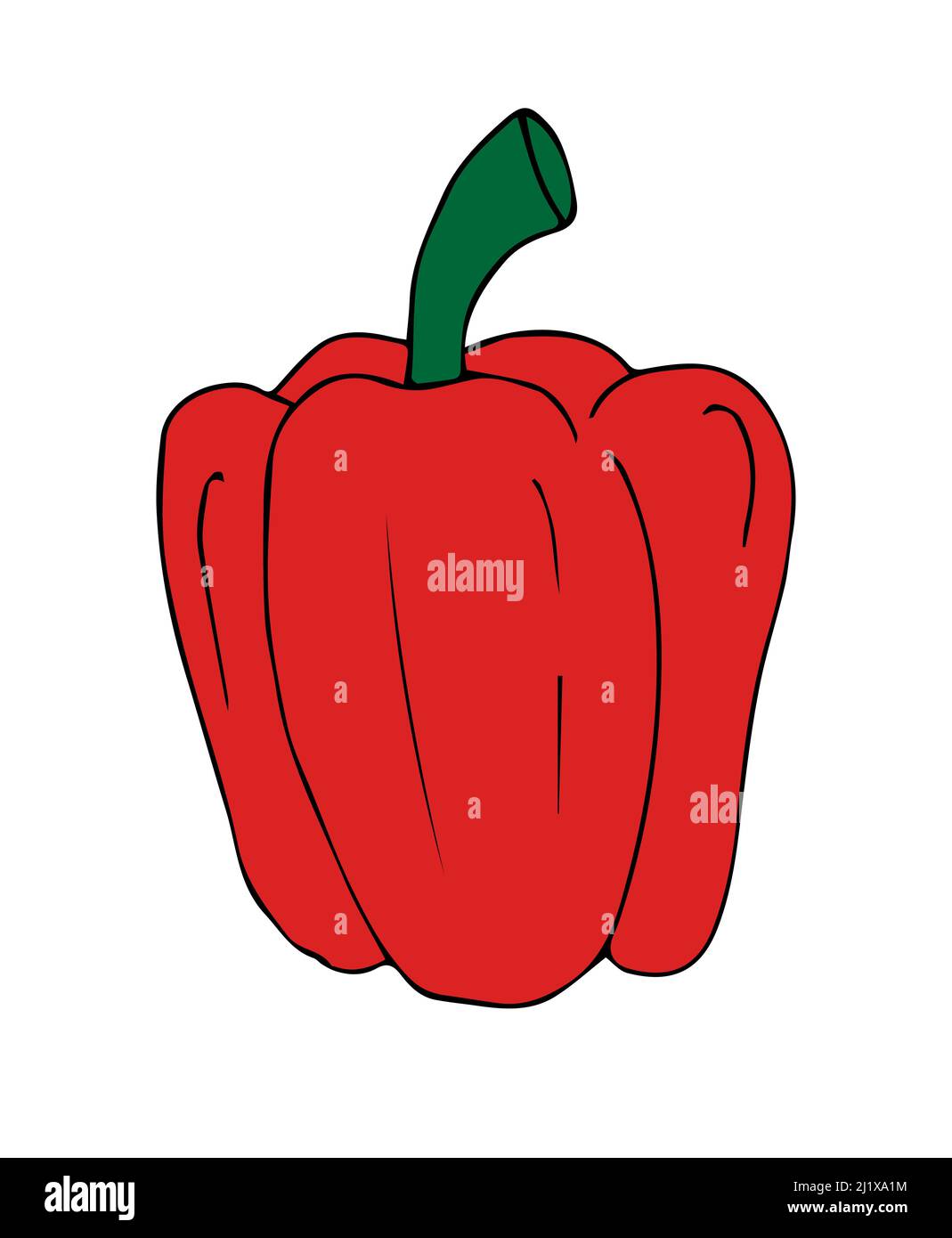 Vector red hand drawn sketch bell pepper isolated on white background ...