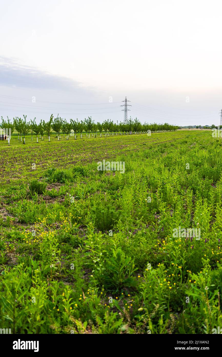 Countryside farming land. Land prepared for farming. Agriculture ...