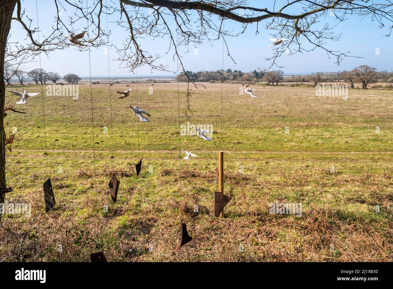 Edgelands art installation by Jane Scobie. Porcelain doves suspended ...
