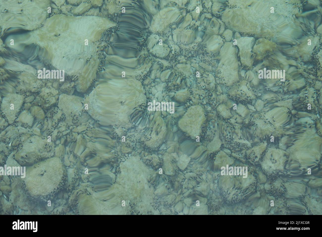 A top view of the bottom of a lake with rocks in Skaneateles, New York ...