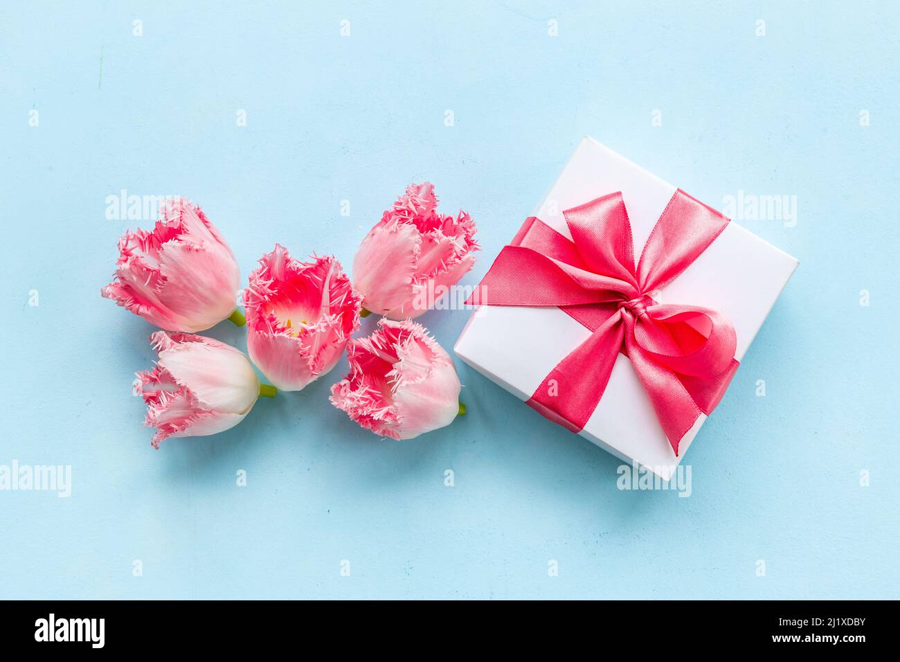 Fift day hi-res stock photography and images - Alamy