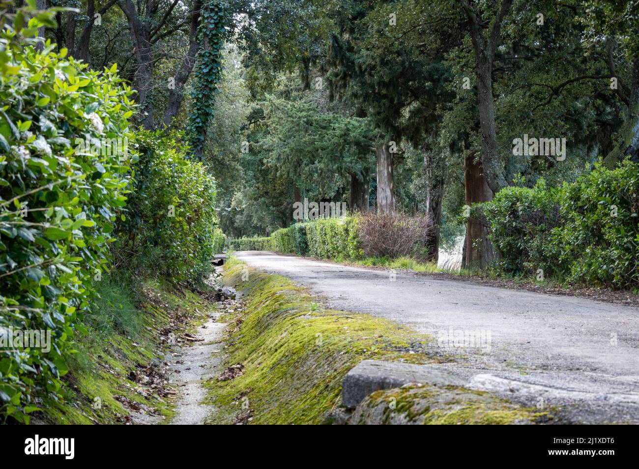 Photo of landscape from south of france Stock Photo - Alamy
