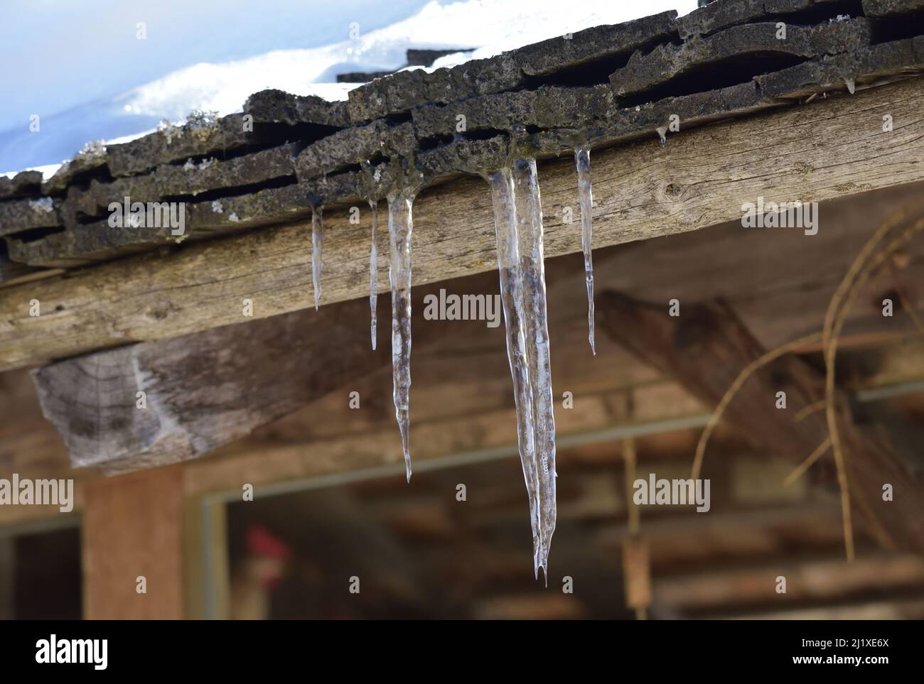 Icy formations descend from the planks of the shack's roof Stock Photo ...