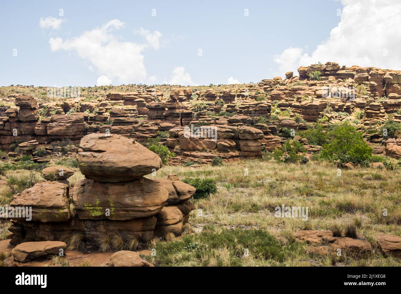 A small platue in the Magaliesberg Mountains of South Africa, covered ...