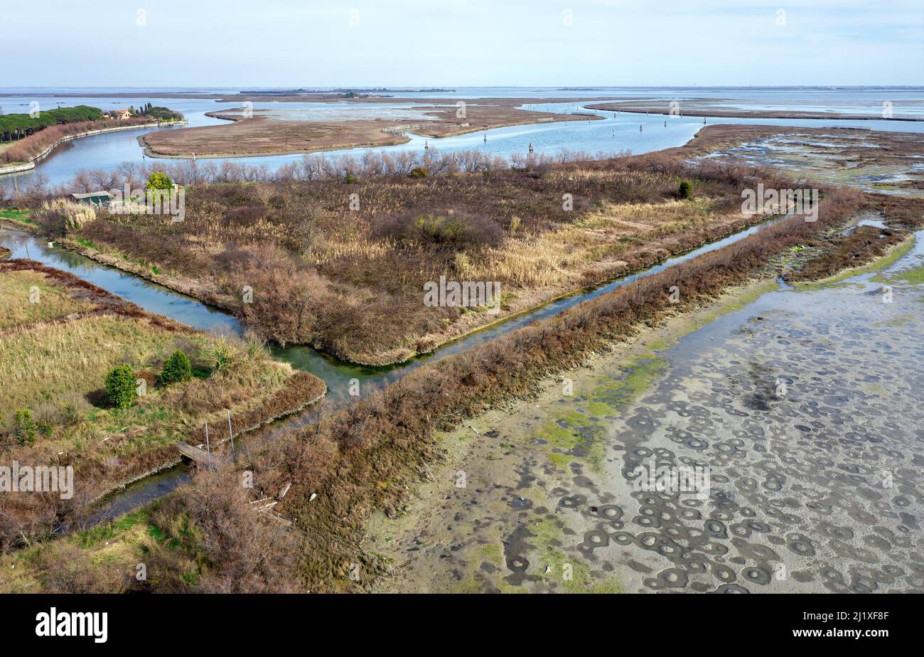 Salt marsh and canals on Torcello island, Venetian lagoon in Italy ...