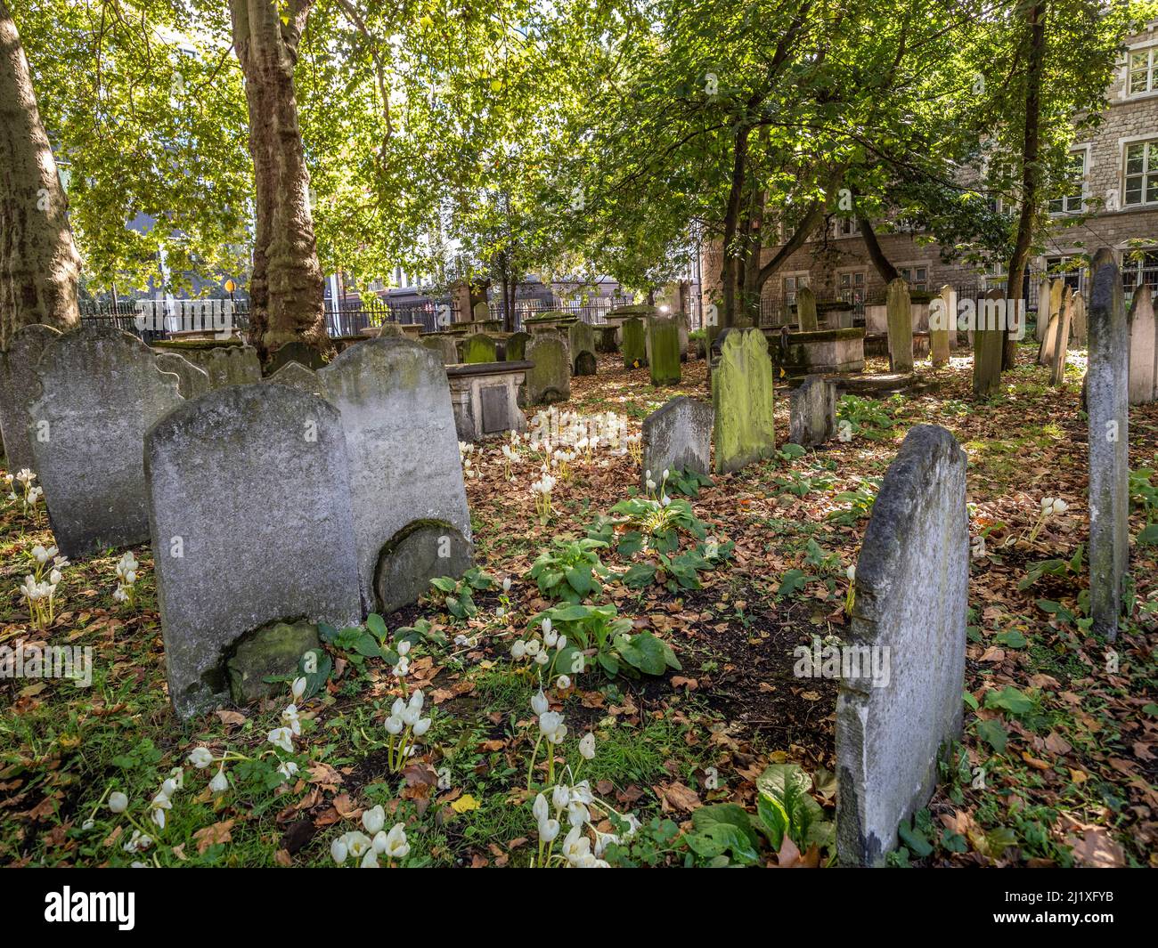 Open graves hi-res stock photography and images - Alamy