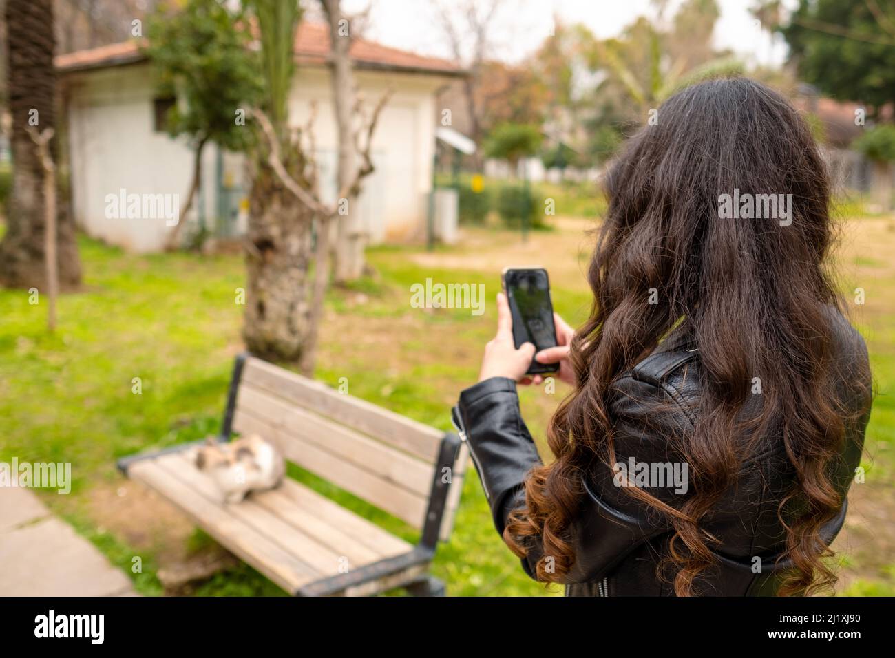 Photography, young beautiful businesswoman taking photos of stray cats ...