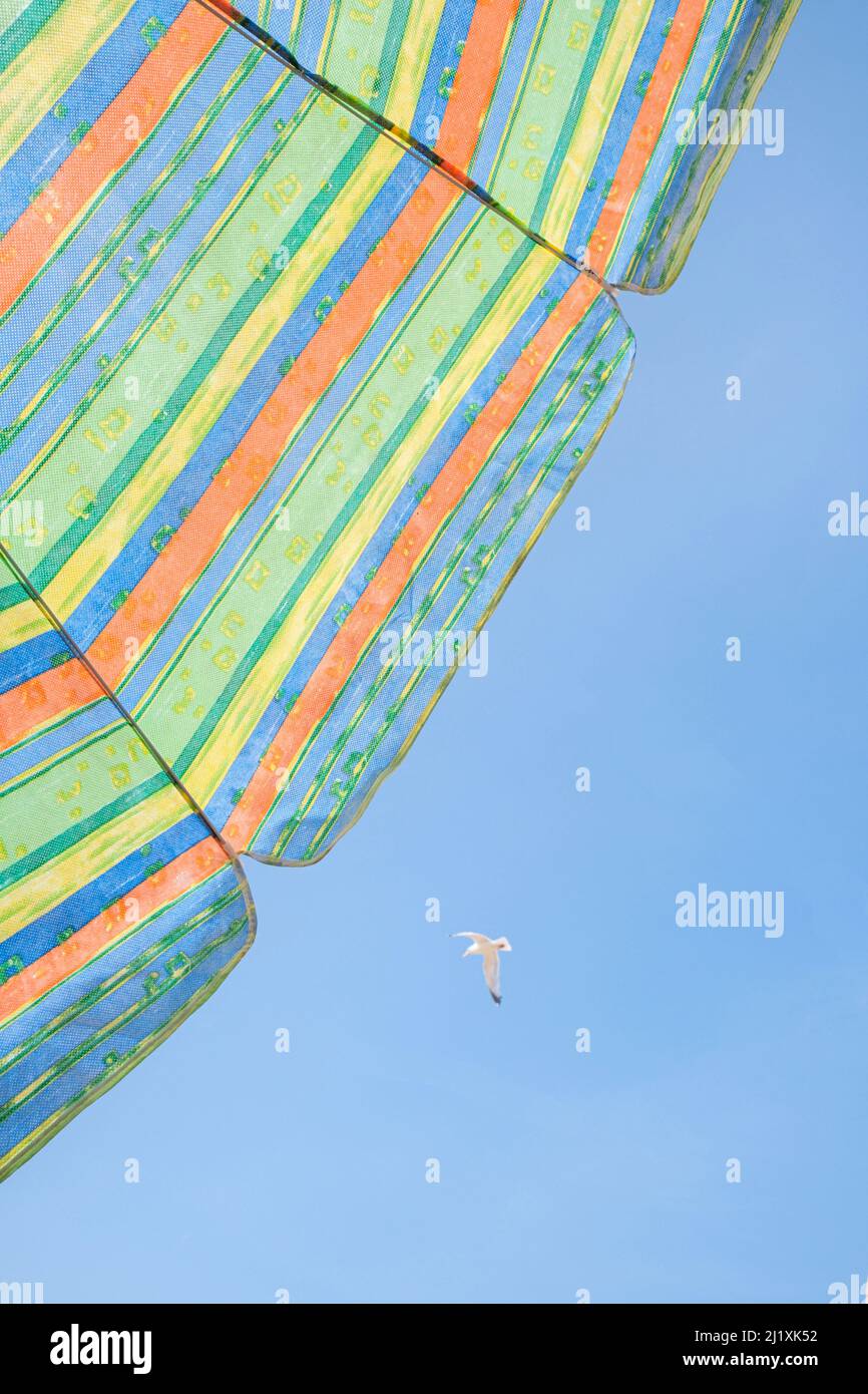 Looking up to a blue sky and sunshine from underneath a colourful beach ...