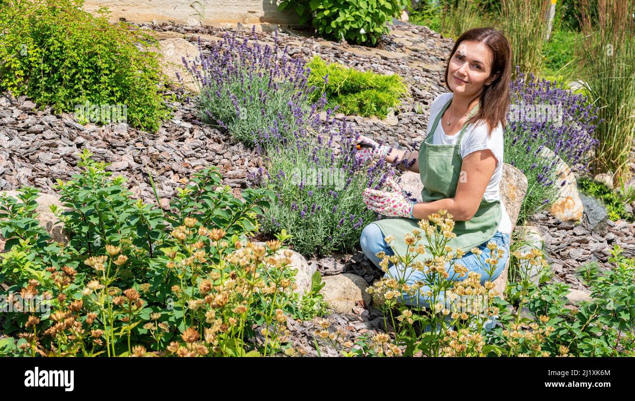 Landscape designer at work. Woman gardener in apron takes care of ...