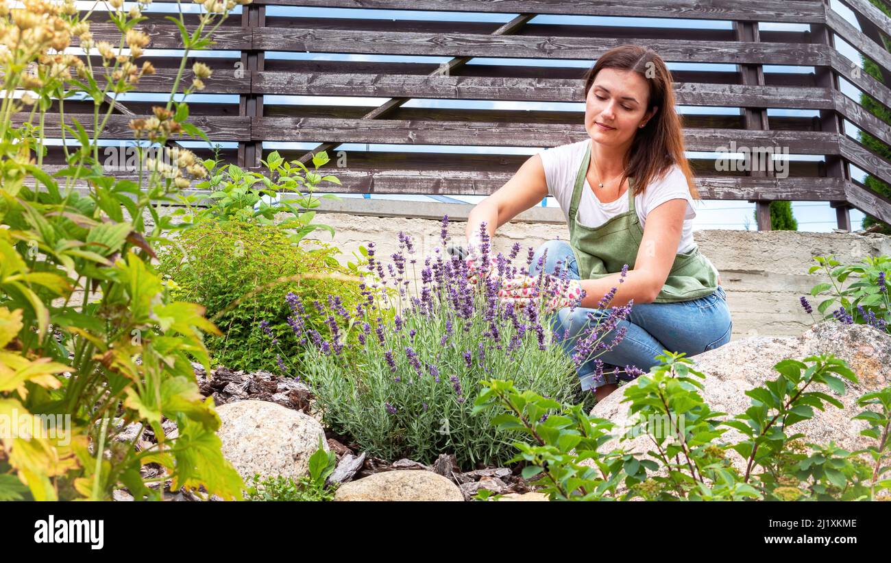 Works on landscaping in the garden in Provence style. Landscape ...