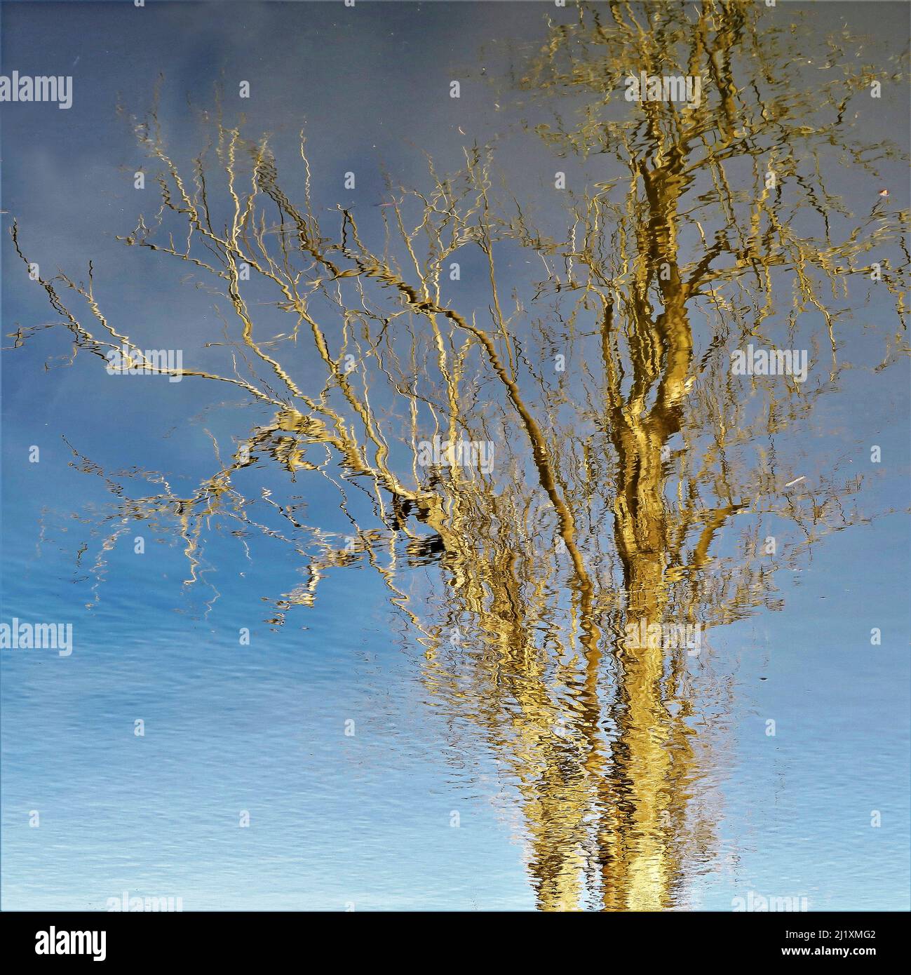 British waterway abstract photograph showing reflected pattern, texture ...