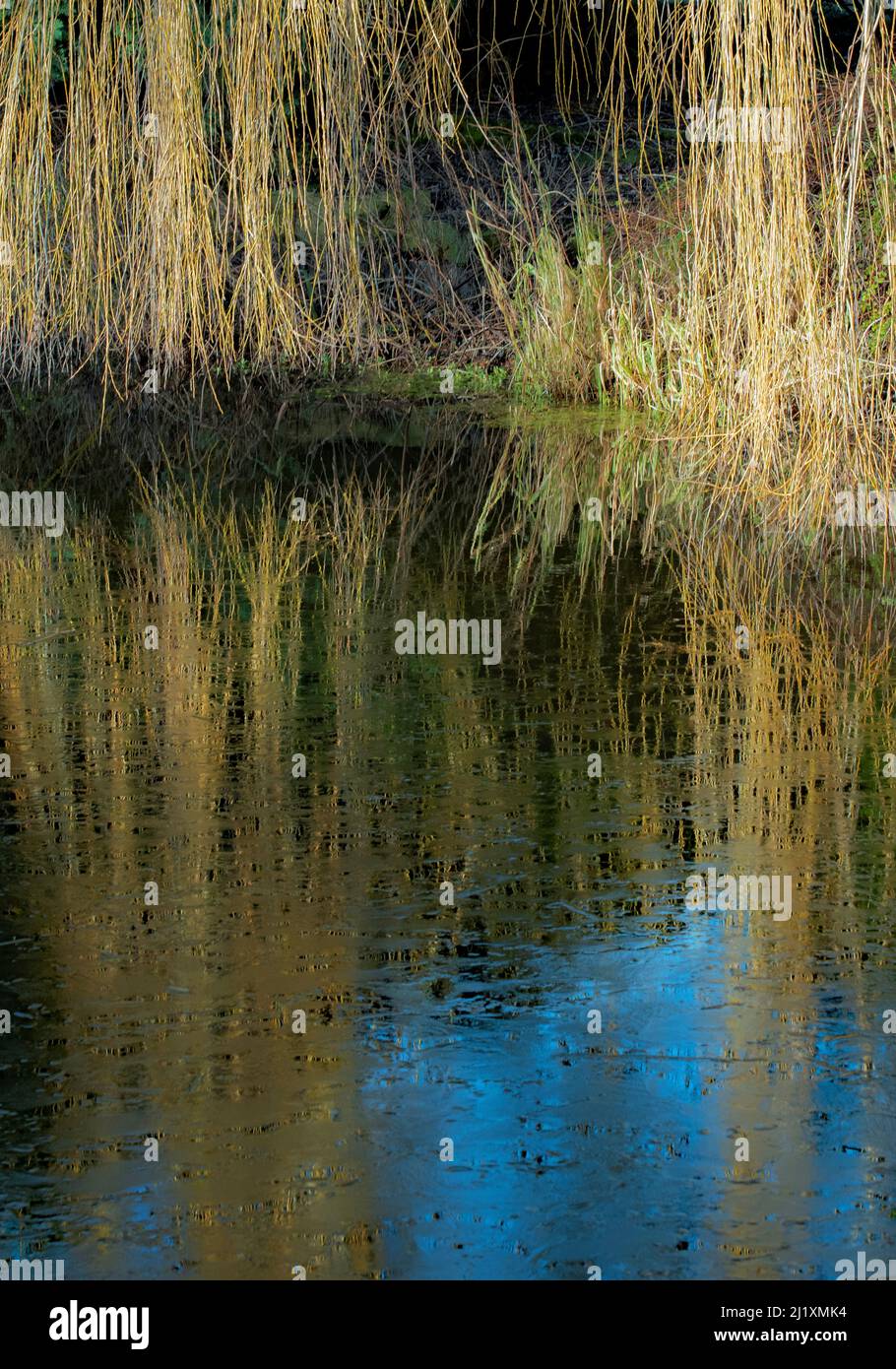 Photograph Shropshire and Worcester canal a British Waterways canal ...