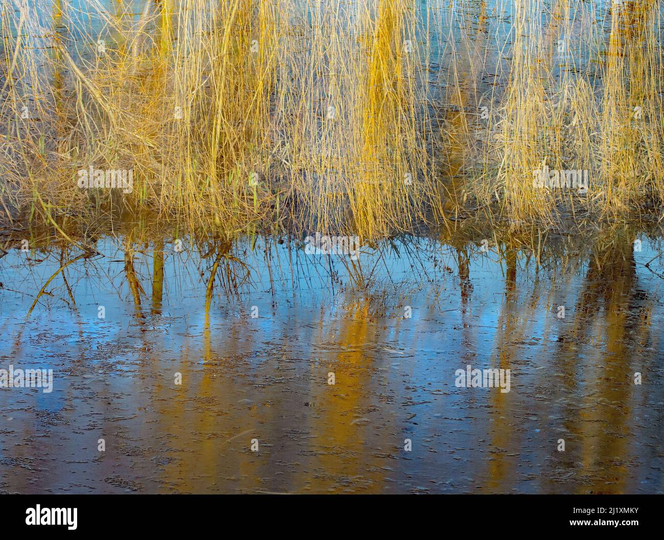 Photograph Shropshire and Worcester canal a British Waterways canal ...