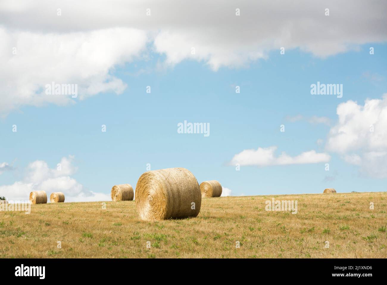 Good weather year round hi-res stock photography and images - Alamy