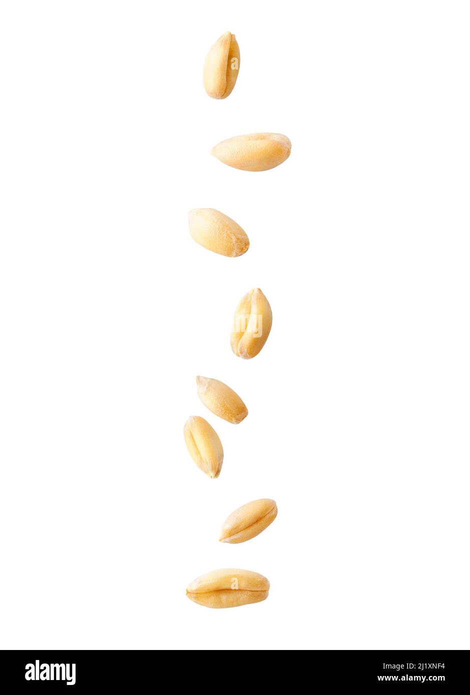 Isolated grain. Peeled ripe wheat seeds falling down Stock Photo - Alamy