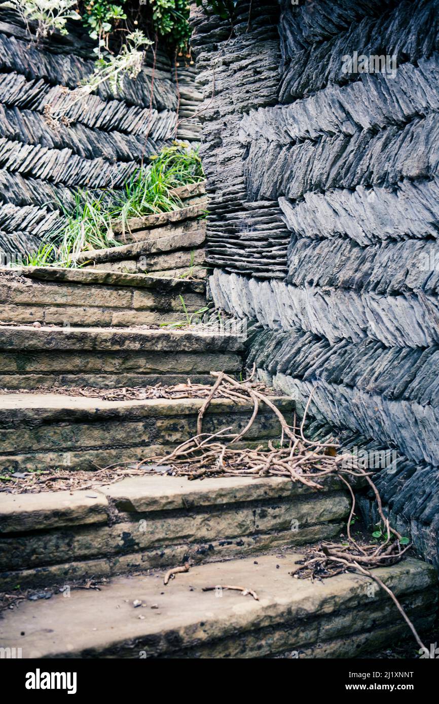 An old worn stone stairway, with steps covered in old plants and twigs ...