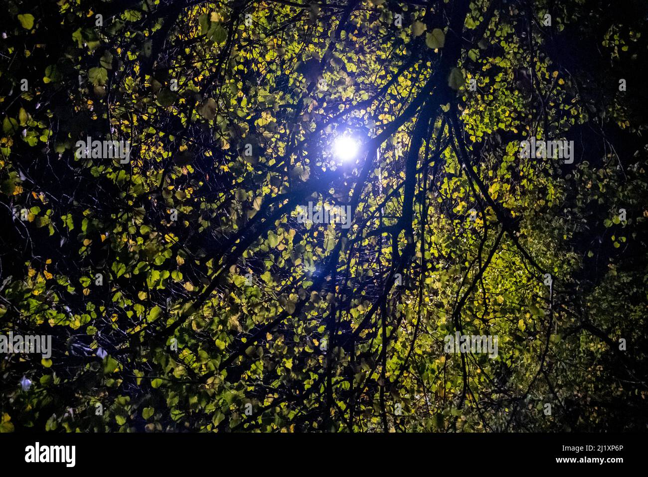 Man backlit night hi-res stock photography and images - Alamy