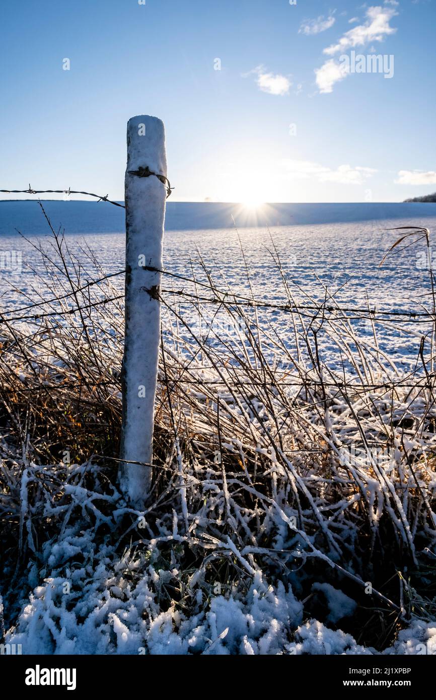 An old barbed wire fence with old rotten wood fence post in a field ...