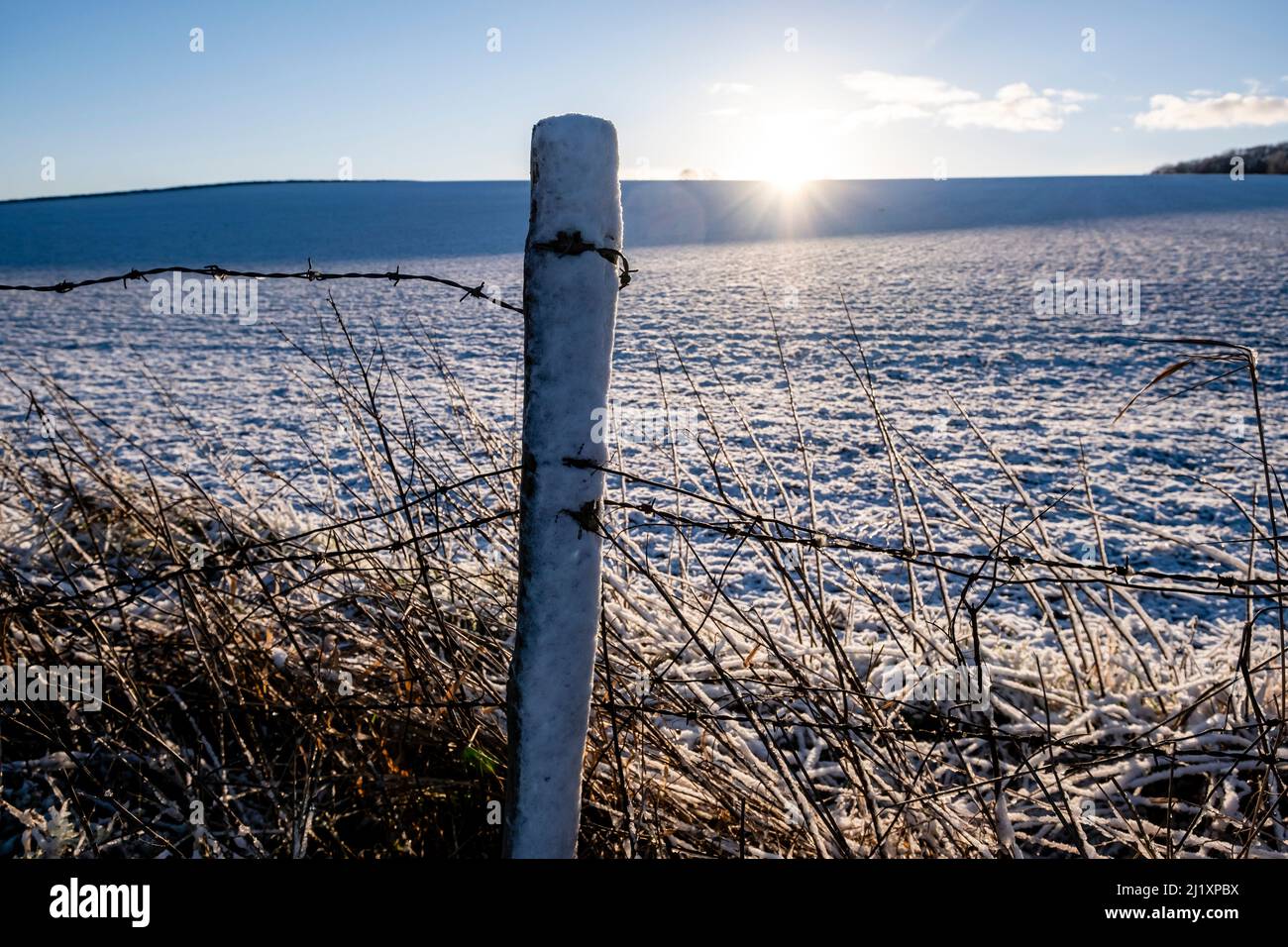 An old barbed wire fence with old rotten wood fence post in a field ...