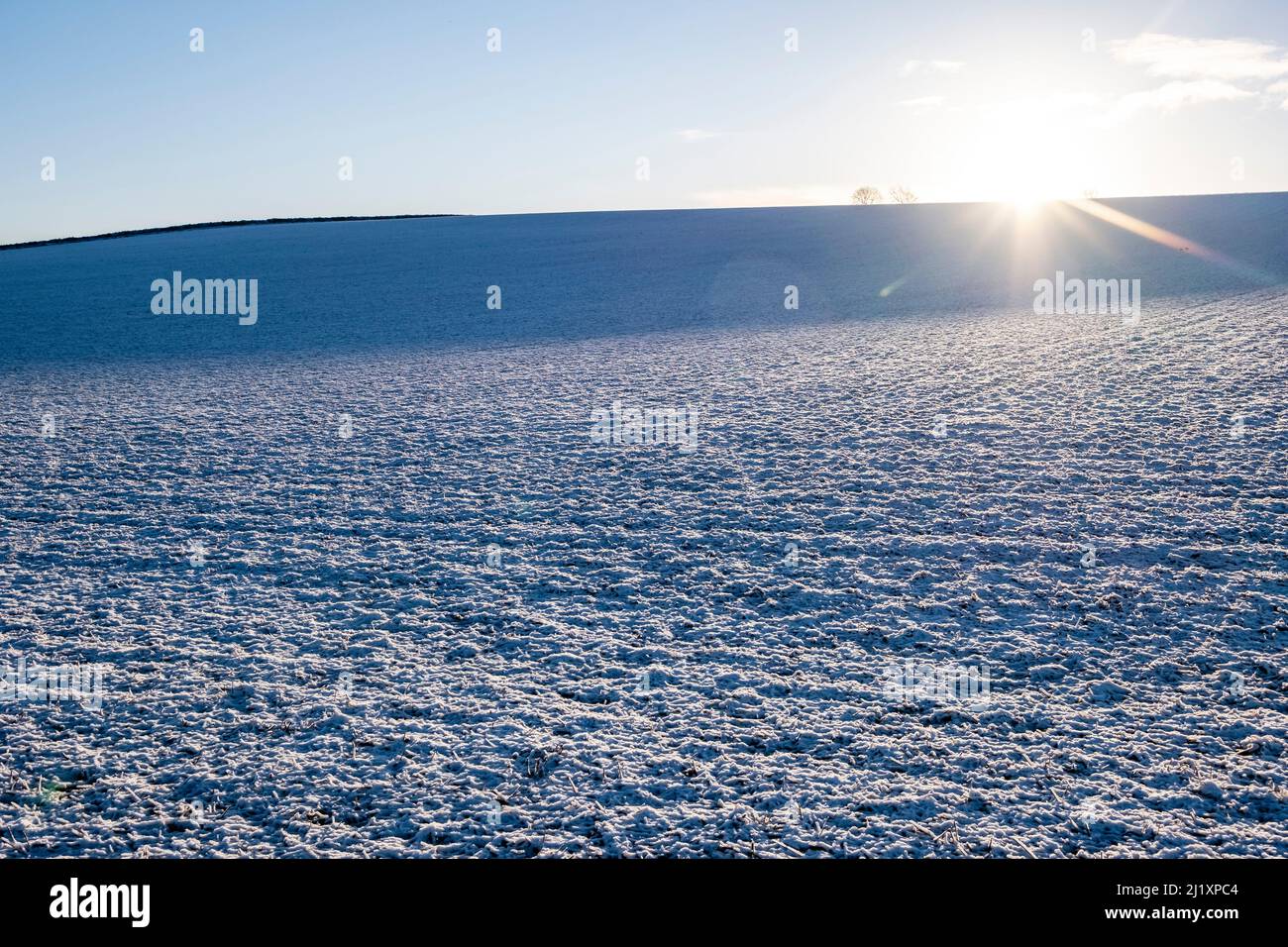 A snowy winter landscape with sun rising over the ridge of a low hill ...