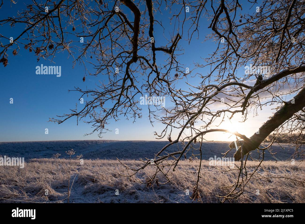A bright winter morning with deep blue sky and rolling hills adn ...