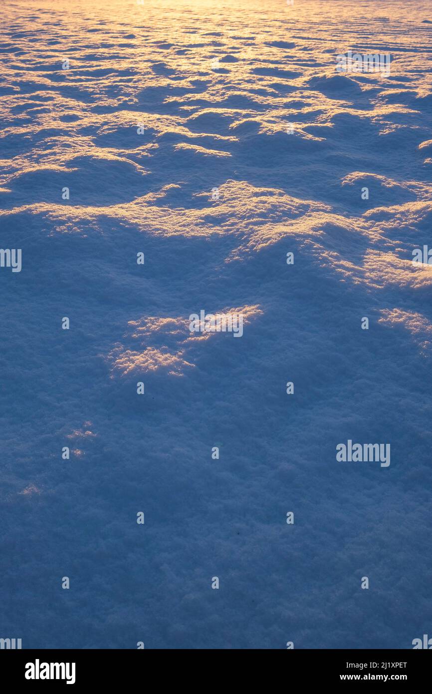 The sun sets over a field covered in snow highlighting the undulating ...