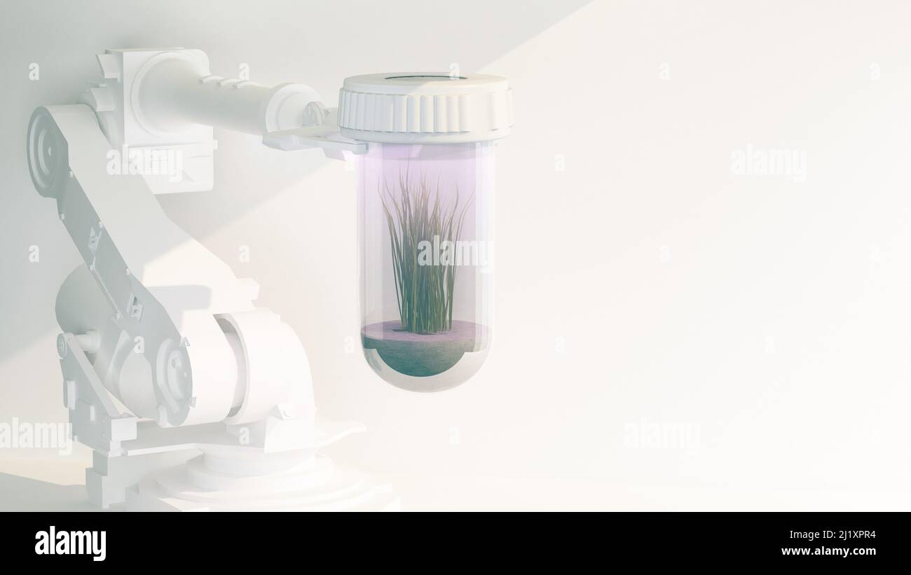 concept robotic arm holding capsule with seaweed with copy space. 3d ...