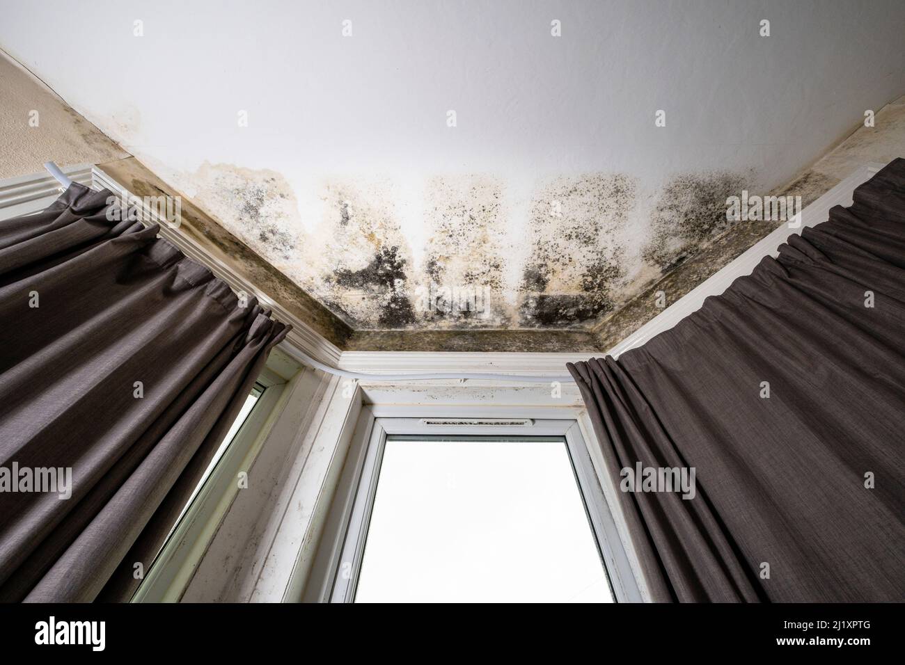 Mold on damp walls hi-res stock photography and images - Alamy