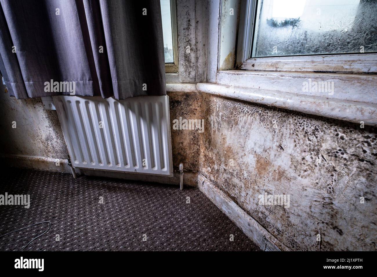 Terrible damp and mold on the walls and ceiling of a rented house ...