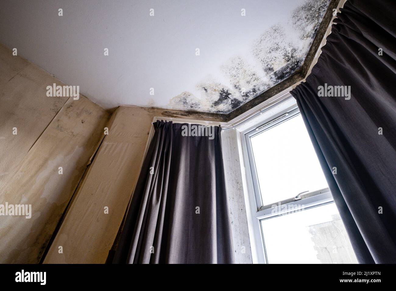 Rented flat mould hi-res stock photography and images - Alamy
