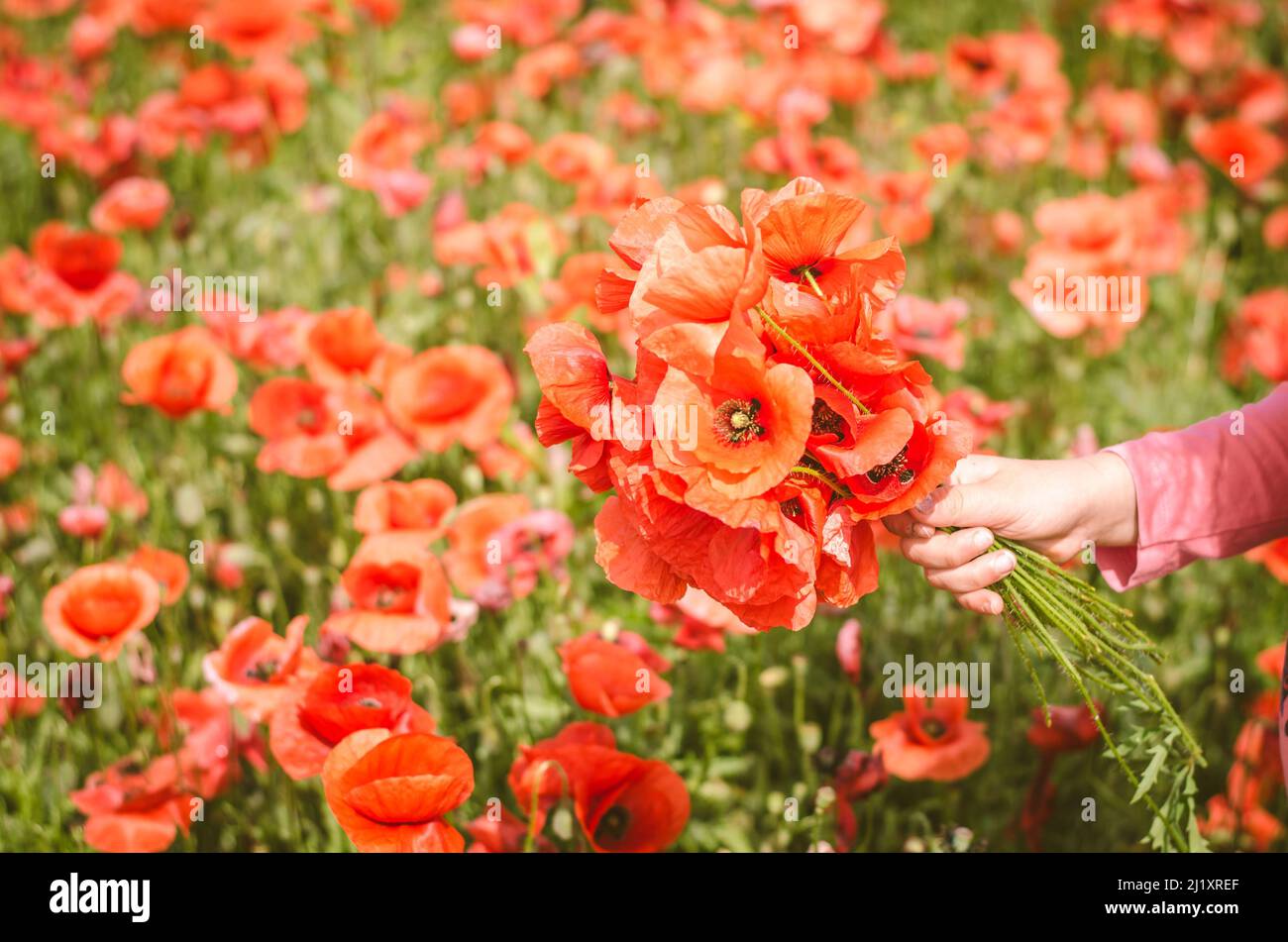Child flowers in hand hi-res stock photography and images - Alamy
